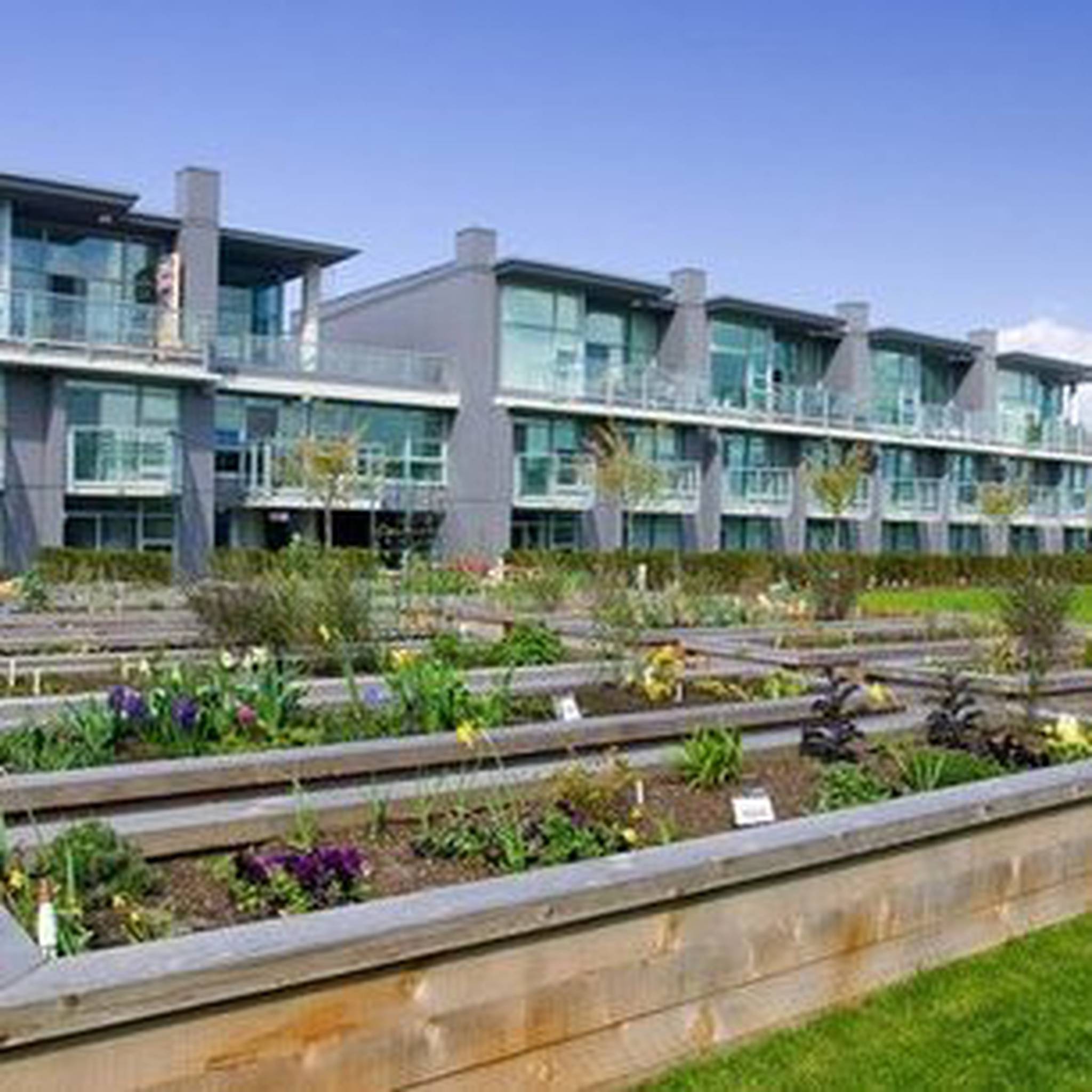 The Rise Vancouver, BC - 485 8th Ave W | liv.rent