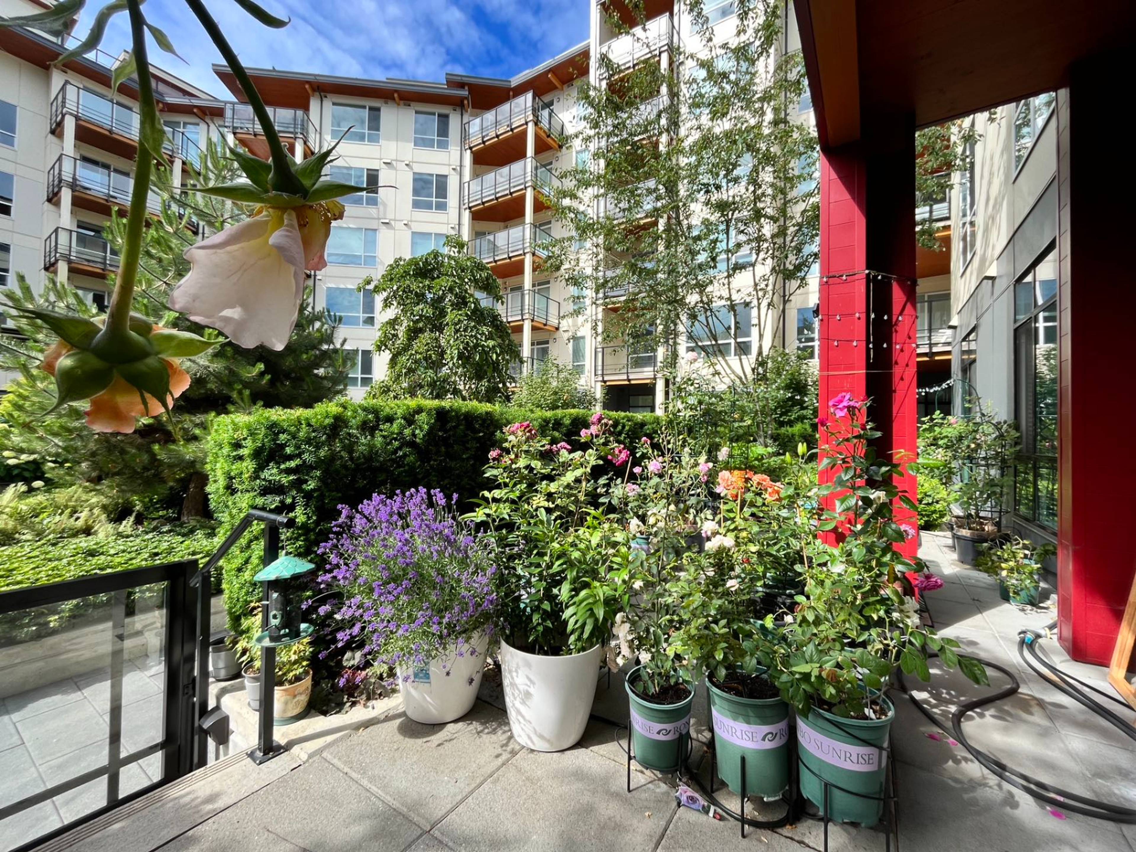 3581 Ross Dr, Vancouver, BC - 3 Bedroom Apartment for Rent | liv.rent