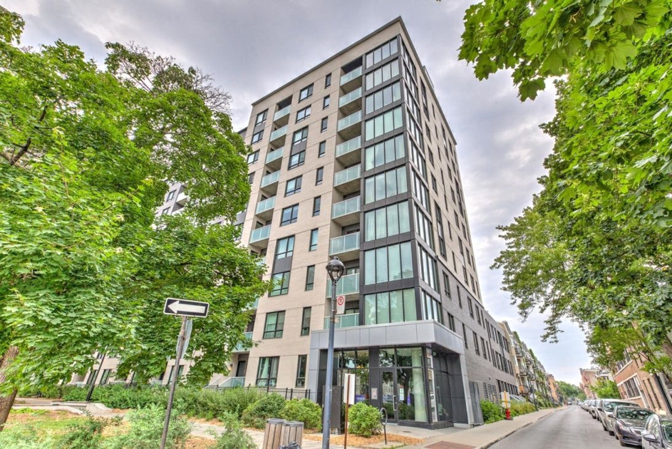 Montcalm Montréal, QC - 1170 Rue de Montcalm | liv.rent